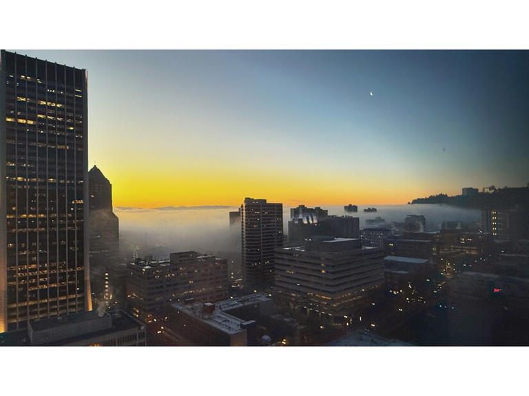 🌱 Patch AM: Want $5,000 for your art? Enter Portland’s America 250 ...