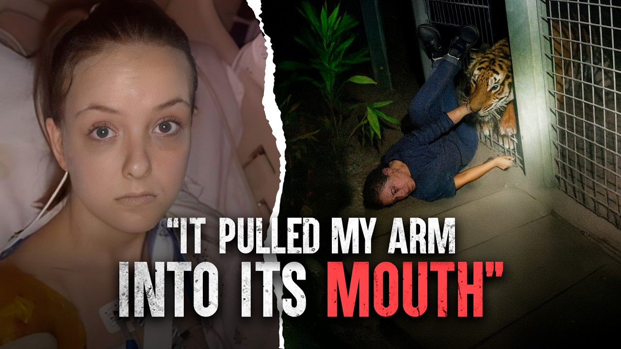 A look into some of the deadliest tiger attacks ever documented