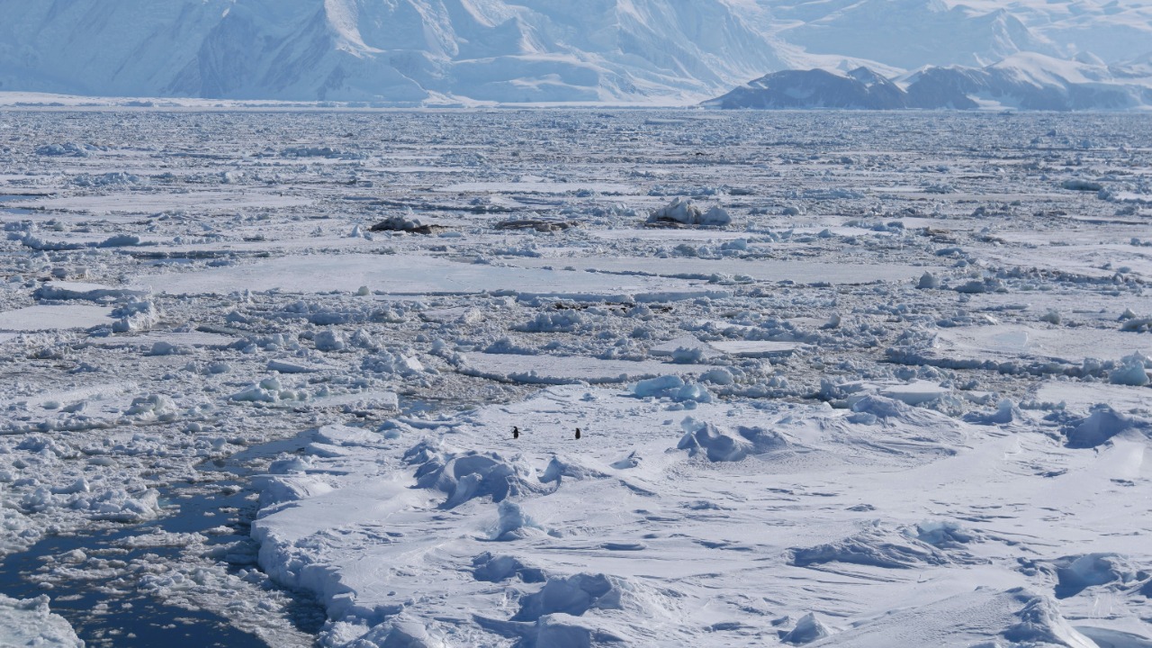 Hidden world under Antarctica’s ice mapped in never-before-seen detail