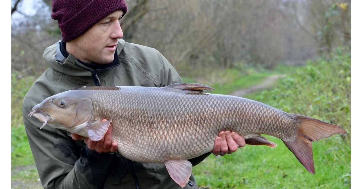 Return to childhood river produces dream barbel