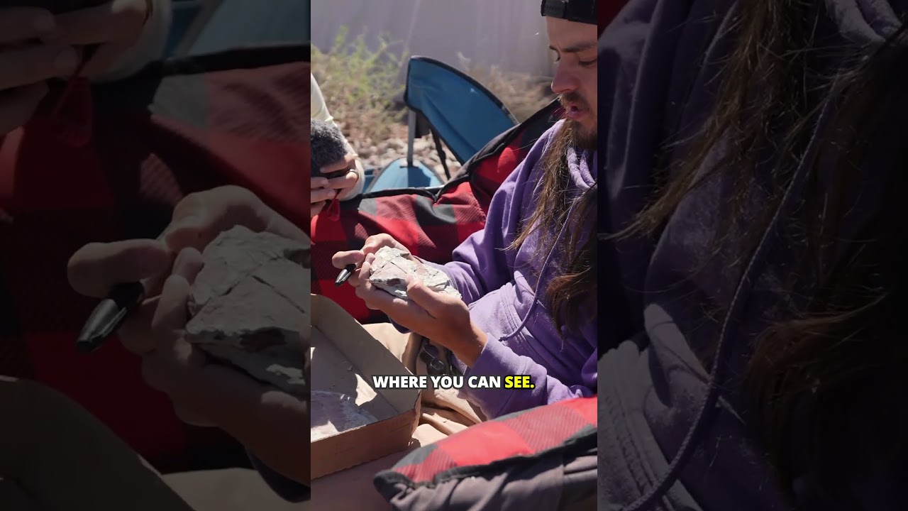 How fossils are carefully prepared to be repaired properly