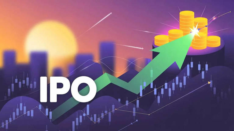 Rs 2.5 lakh crore IPO boom in 2026 could create 'liquidity drain', says ...