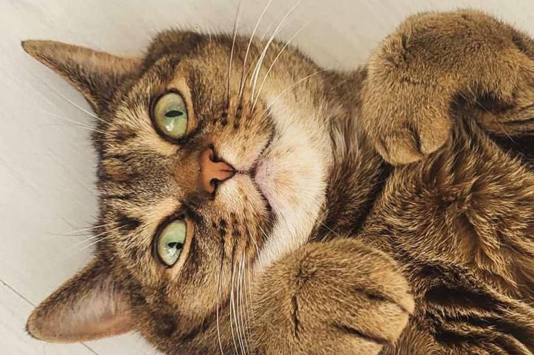 Teacher 'mortified' after seeing note from stranger