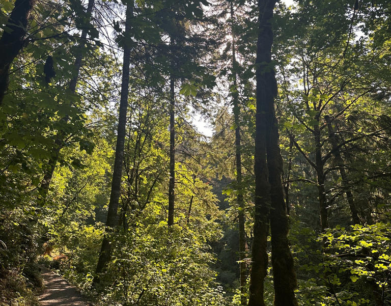 Why Oregon needs to examine its public indecency statute | Opinion