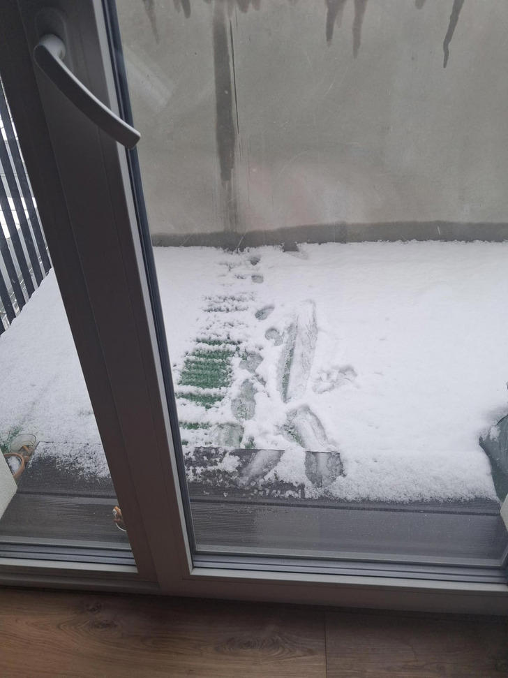 16 times an ordinary day took a completely unexpected turn