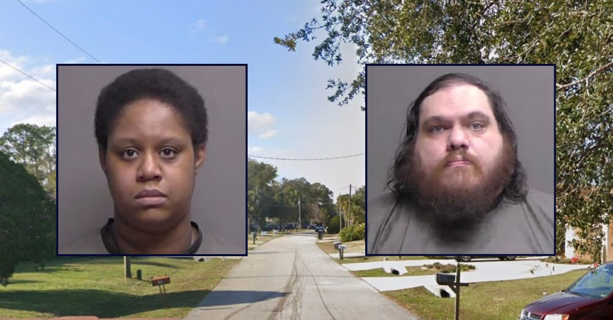 Roaches seen 'crawling over' baby in playpen, insects 'emerging from ...