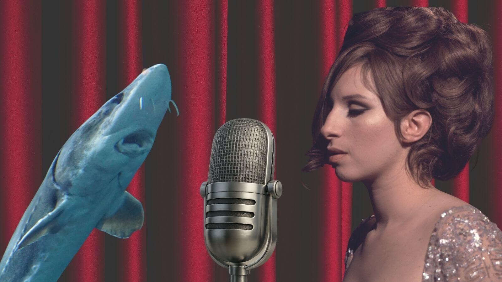 The mysterious case of Barbra Streisand and the missing half-pound of ...