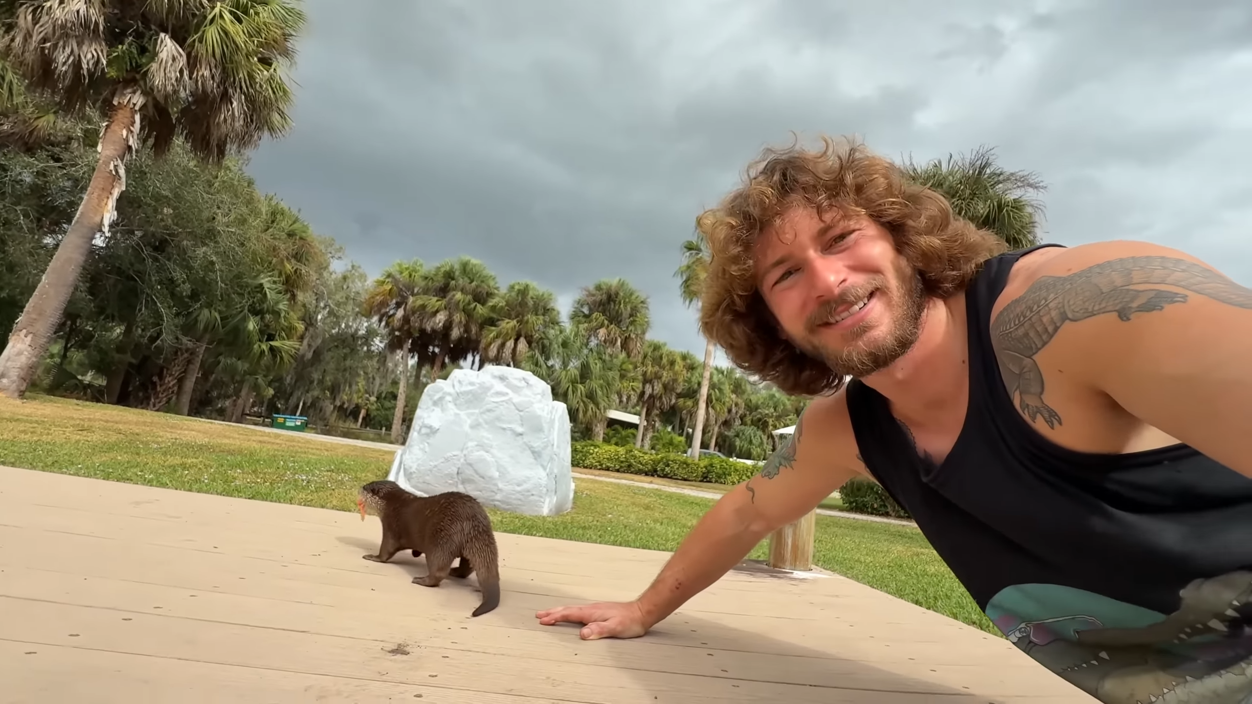 Split-jaw the bull gator comes home!