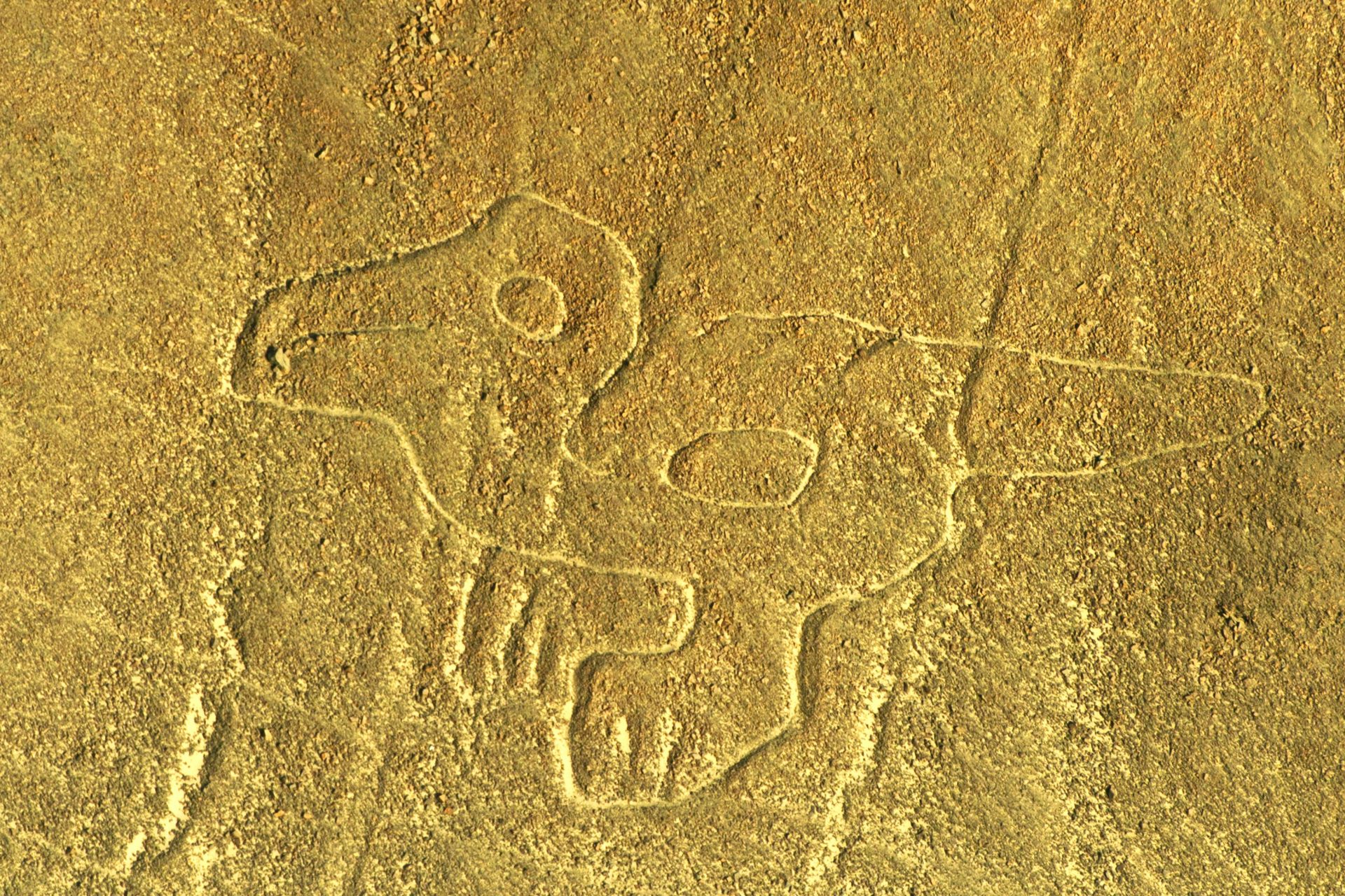 El origen de las misteriosas líneas de Nazca