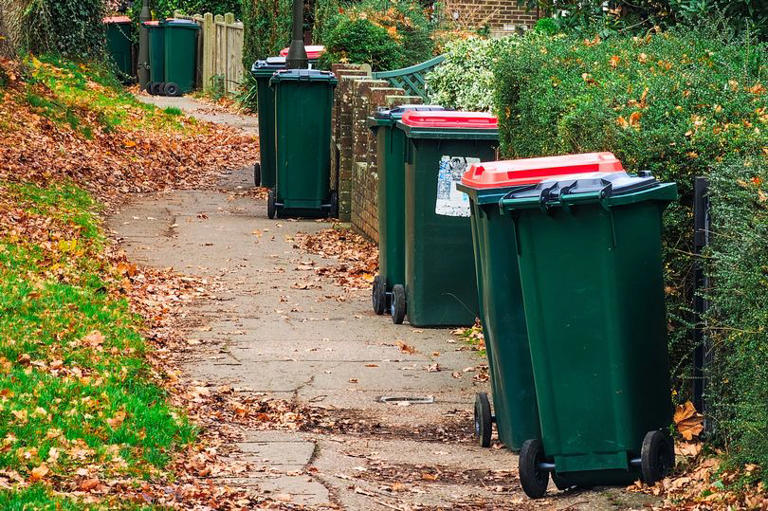 Bin man tells of major difference between collecting rich and poor ...