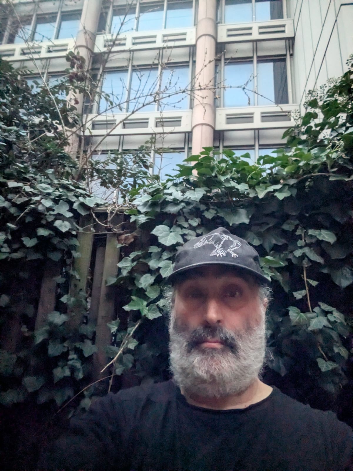 How a group of NIMBYs could bring down China’s mega embassy plans