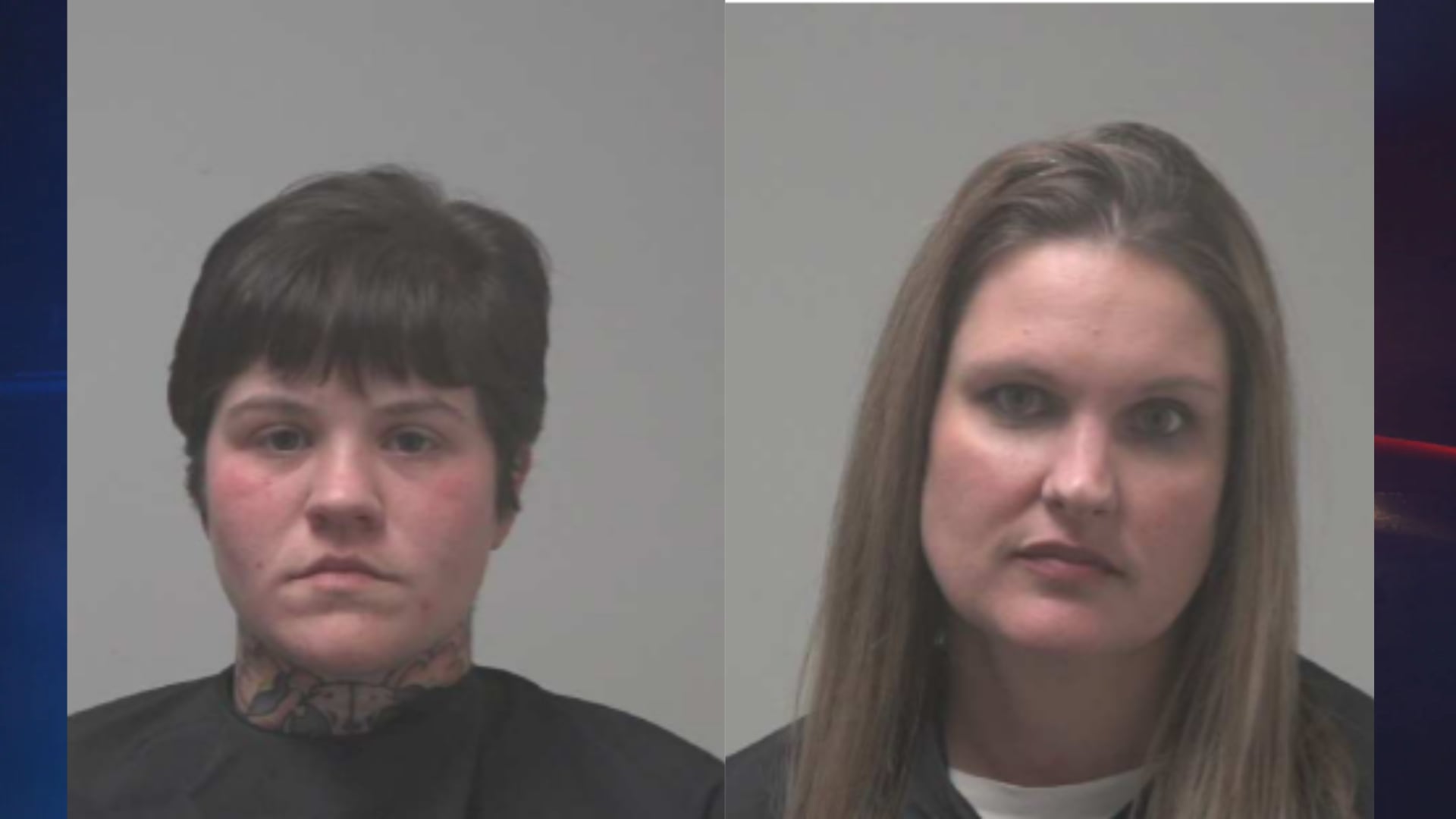 2 unlicensed women accused of performing cat surgeries in Coweta County ...