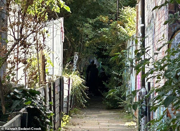 Hampstead alleyway is taken over by violence - residents arm themselves ...