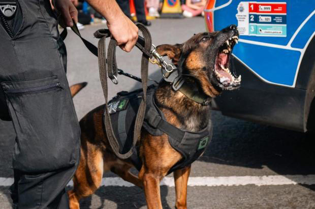 246 incidents and 94 crimes recorded in Wrexham Rural in one week ...