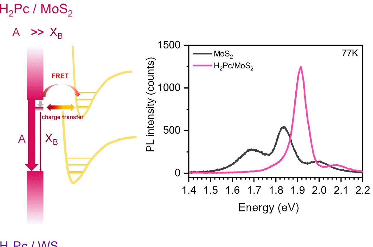 Molecule deposition on 2D materials promotes defect healing and quality ...