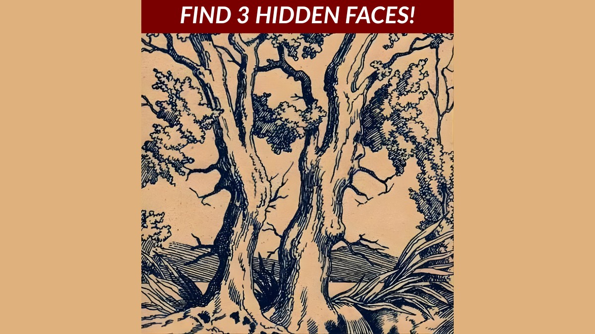 Optical illusion: Spot 3 hidden faces in this vintage tree sketch!