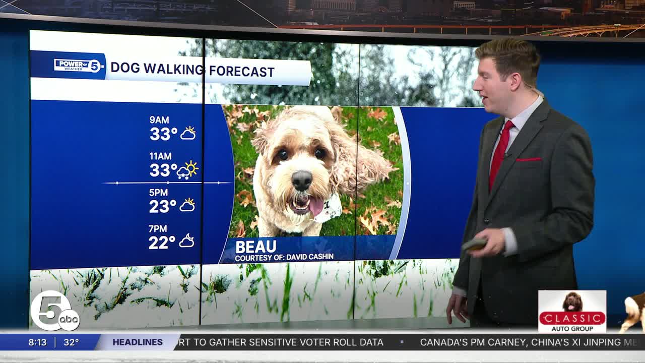 Saturday dog walking forecast: Snow squalls and arctic cold incoming