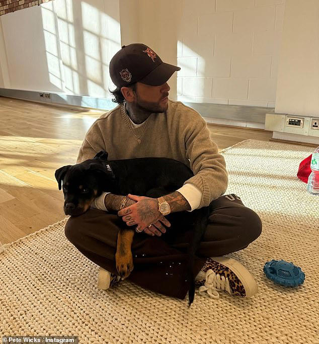 Pete Wicks introduces his new puppy to fans after the death of his dog ...