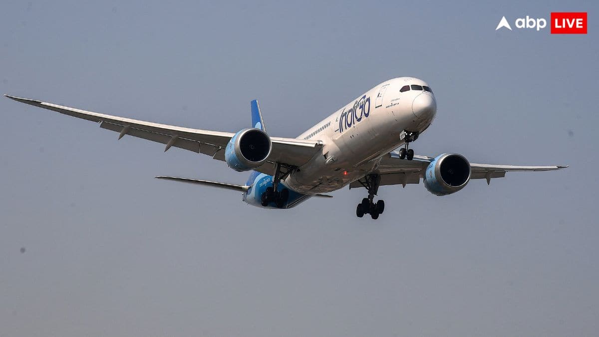 Coolest Gen Alpha dad: IndiGo pilot surprises daughter mid-flight ...