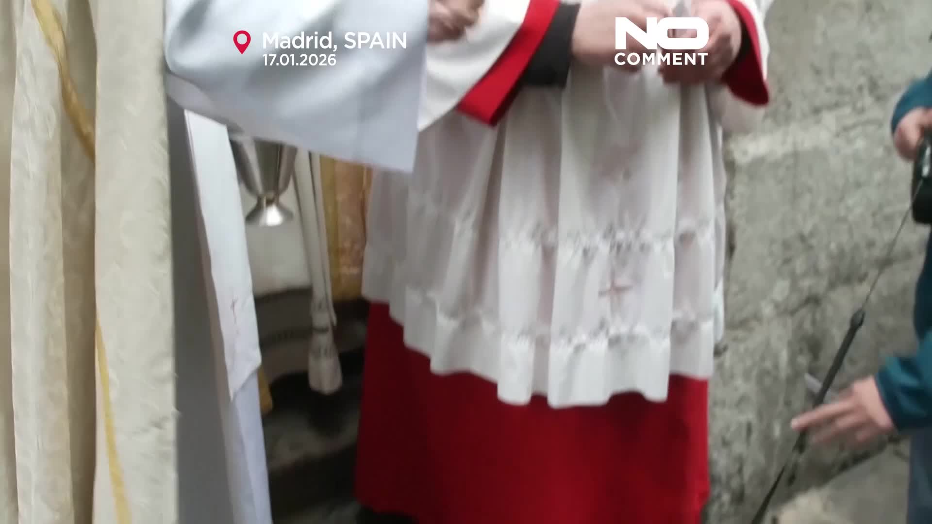 Dogs and cats blessed with holy water in Madrid