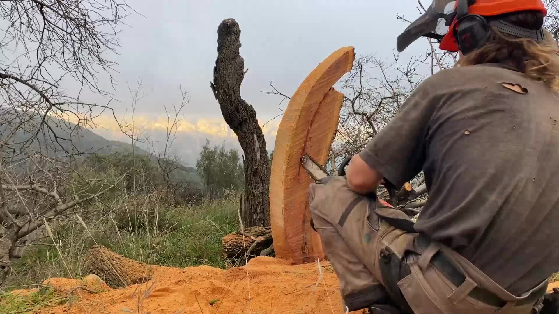 Building an off-grid homestead and self-sufficient living