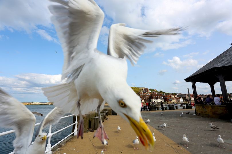 Theatre bosses slap trigger warning on iconic Shakespeare play over odd ...