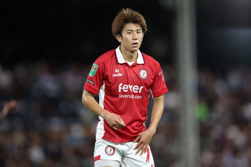 Sergej Jakirovic confirms Hull City close to transfer deal for Japan ...