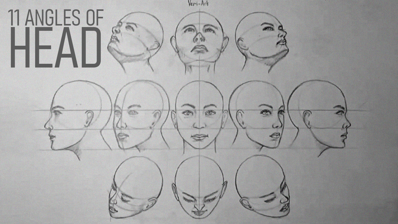 Viral face drawing basics: head proportions in 11 angles step by step