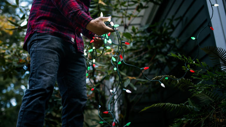 Keep pests out of your outdoor trash can with a clever string light trick