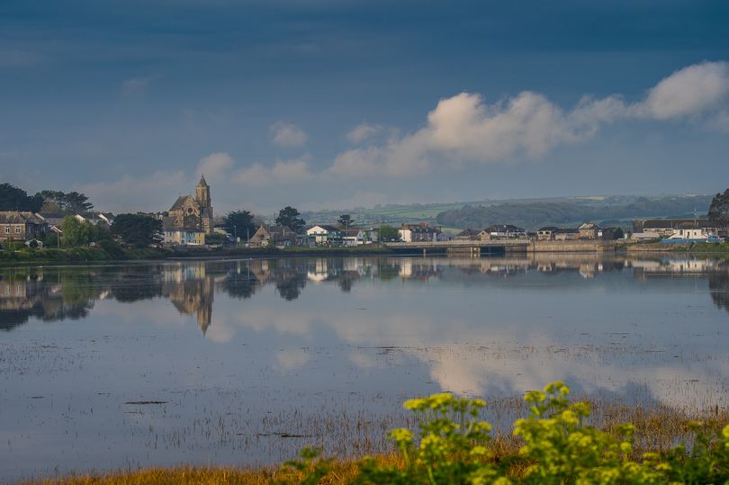 Hayle estuary nature reserve with otters and rare species of birds up ...