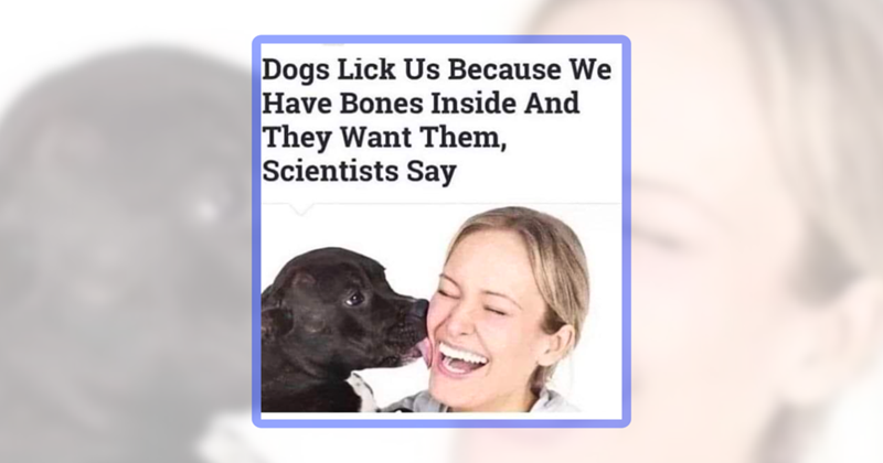 22 doofus dog memes to fill your day with Dogturday fluff