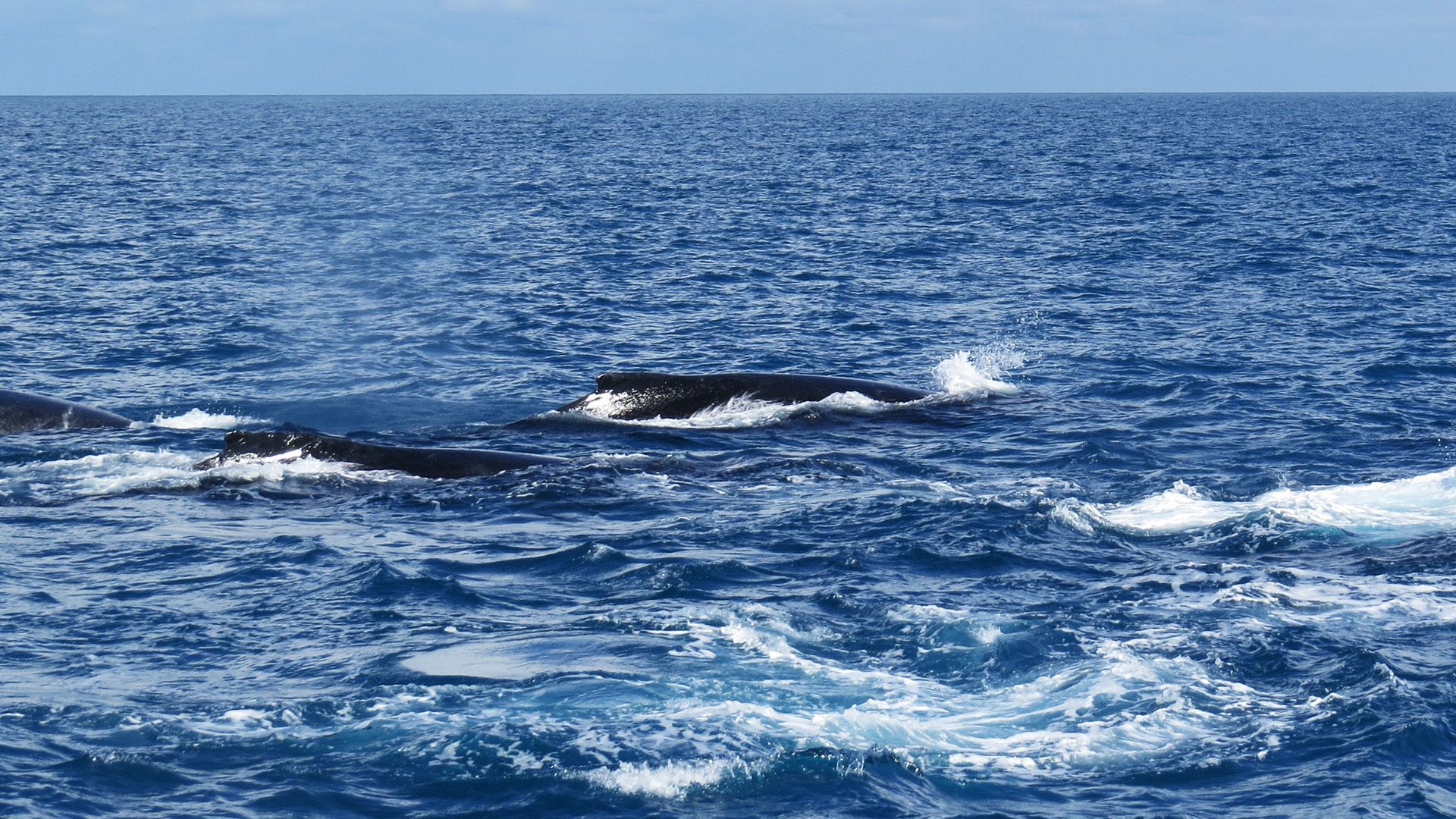 Historisches Meeres-Abkommen in Kraft getreten