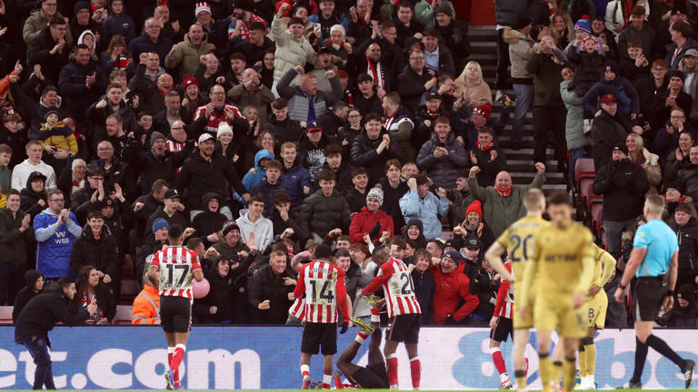 Sunderland 2-1 Crystal Palace: Black Cats pile misery on Eagles