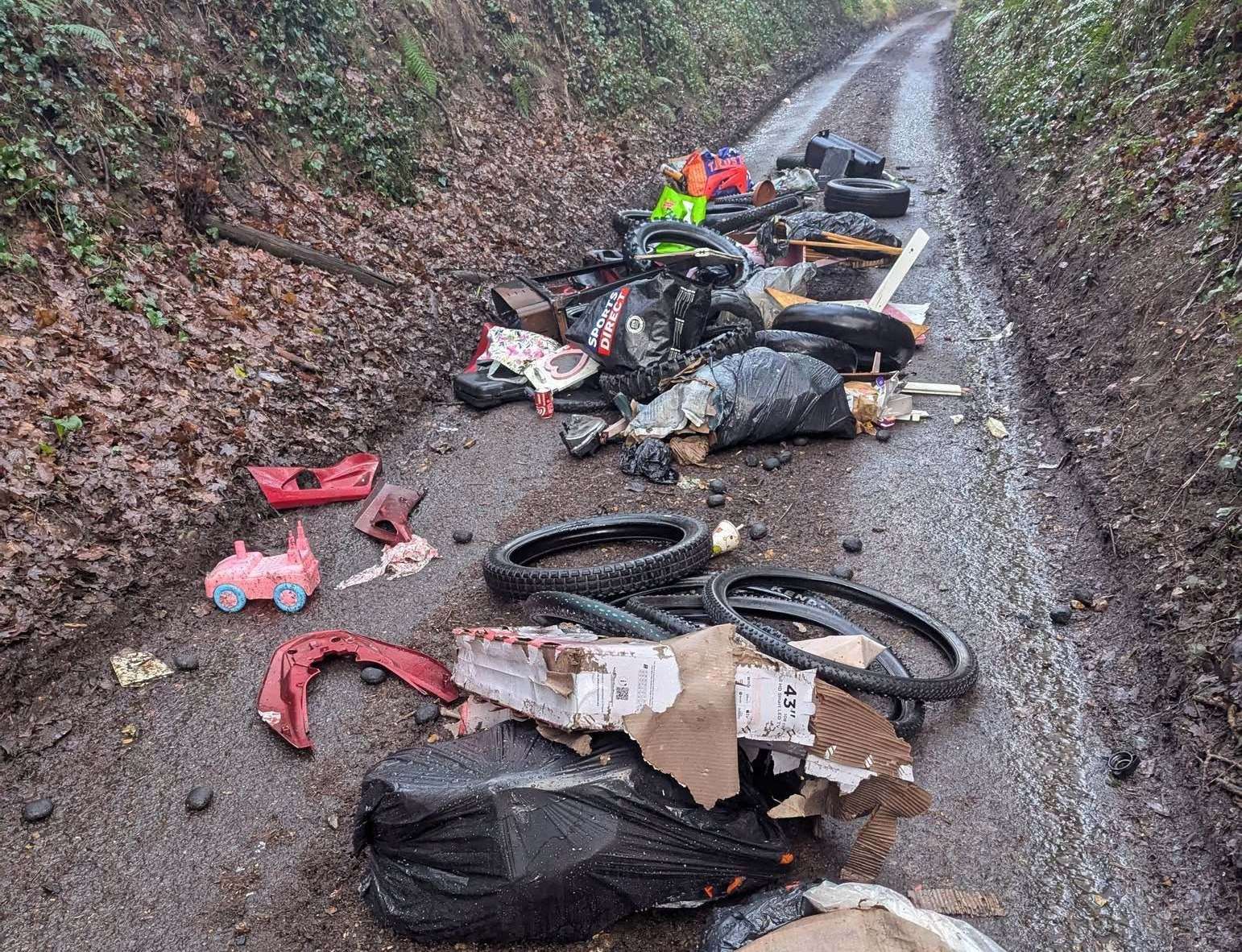 Mum’s walk ruined as rubbish dumped in Well Lane, Fordwich