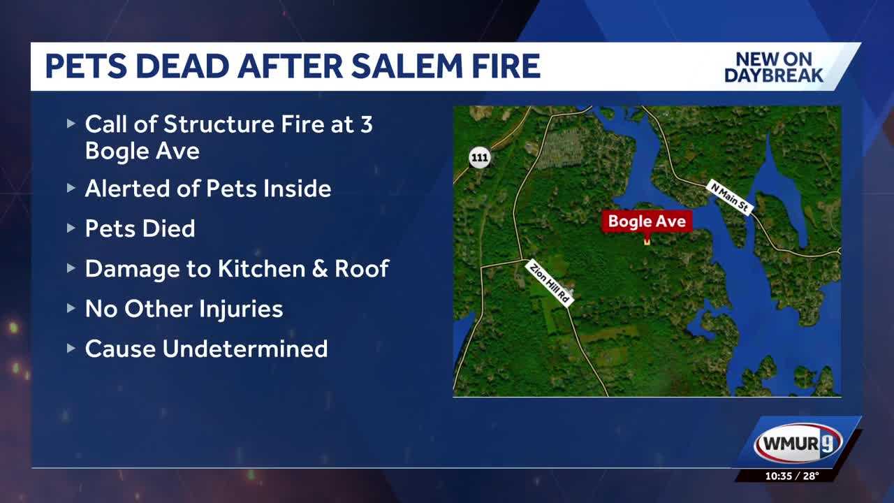 Pets dead after home fire in Salem, officials say