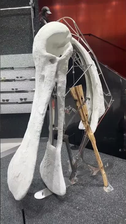 Exploring creative spaces at Gentle Monster