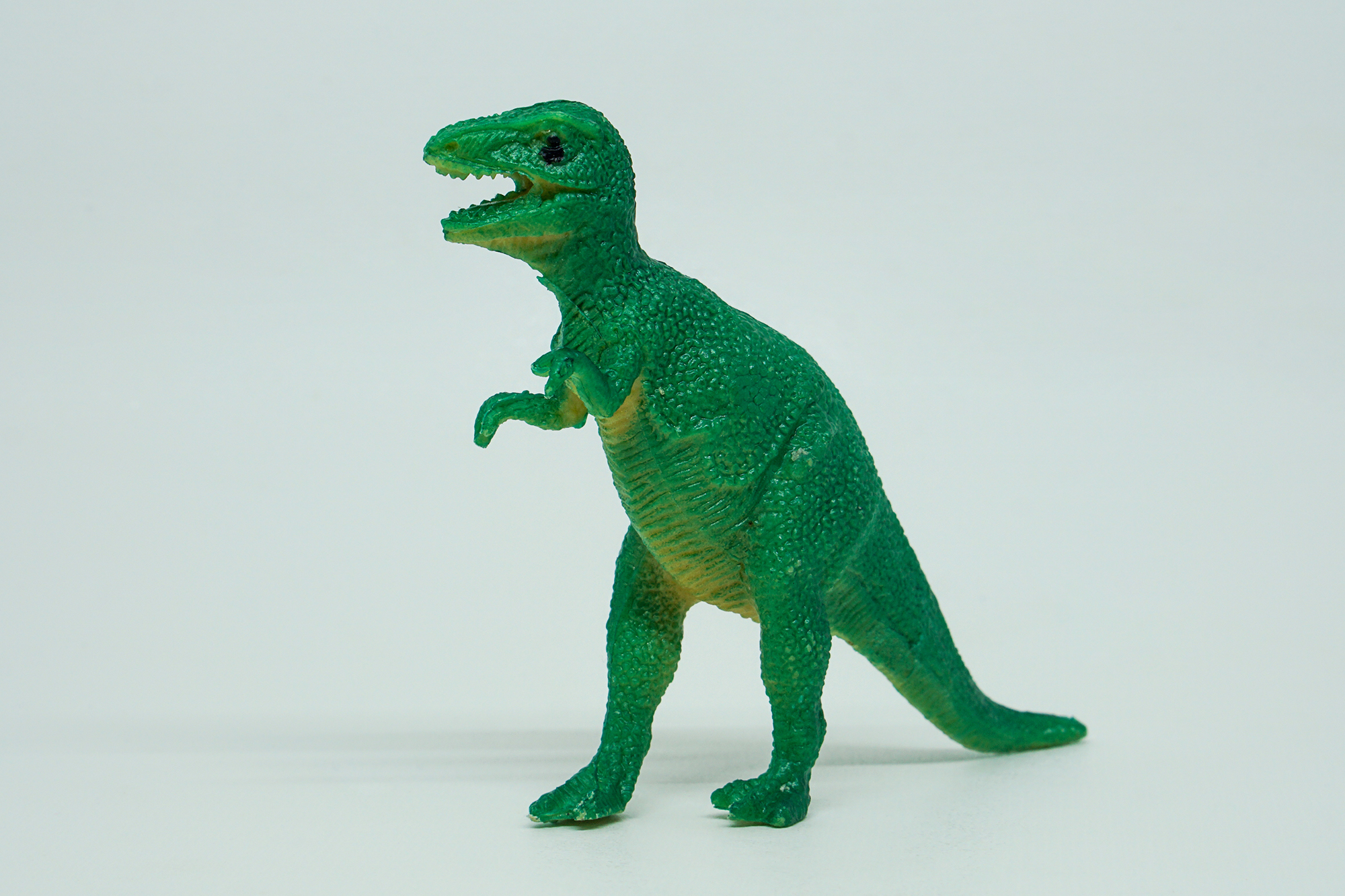 Boy, 9, sues 12-year-old after bloody daycare fight over toy dino ...