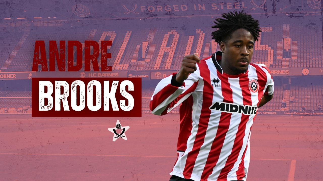 8/10s across the board in Sheffield United player ratings v Ipswich ...