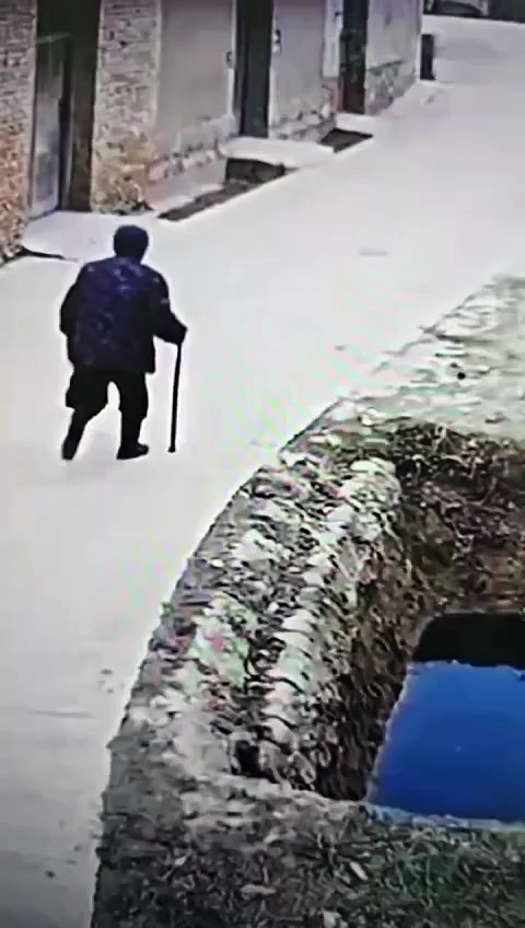 Elle termine à cheval sur un cochon sans le vouloir