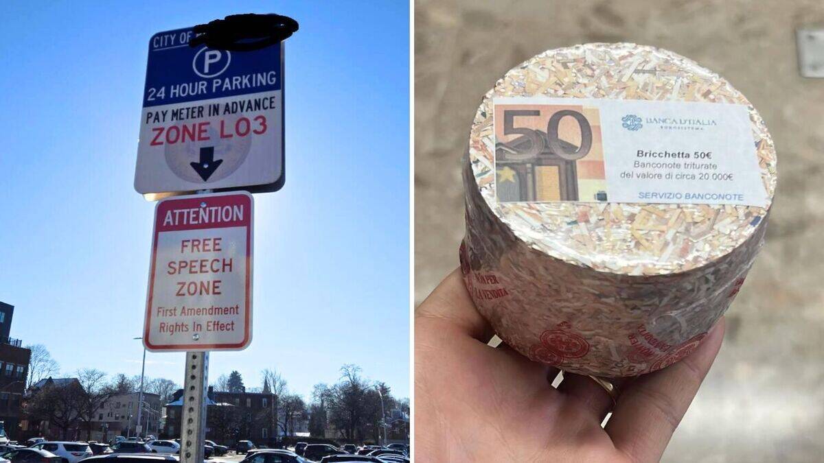 15 times people came across an oddity they needed to photograph