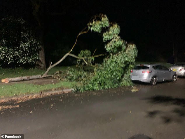Sydney floods: Wild storm sparks urgent evacuation as heavy rainfall ...
