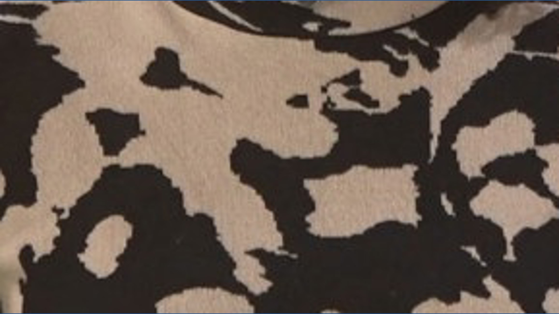 Washington State Prison correctional officer in jail