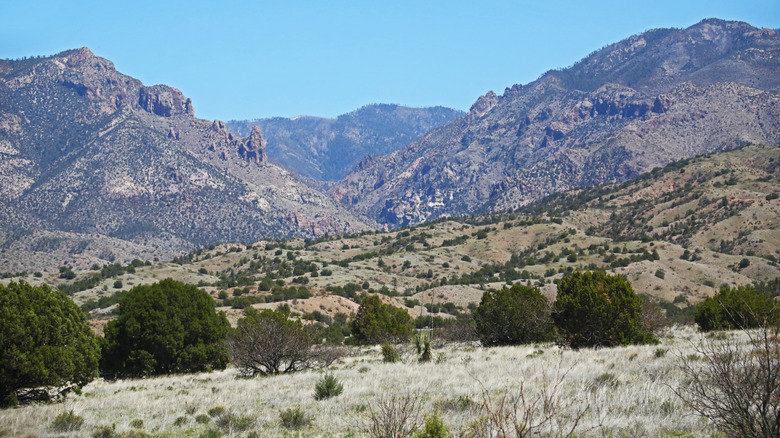 Between Tucson and Albuquerque is an affordable New Mexico village with ...