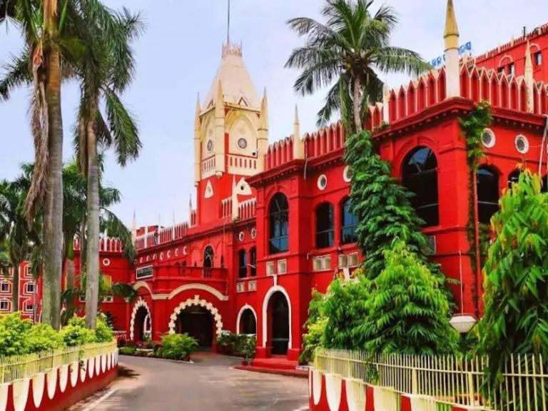 Orissa High Court seeks supplementary affidavit from state on PIL over ...