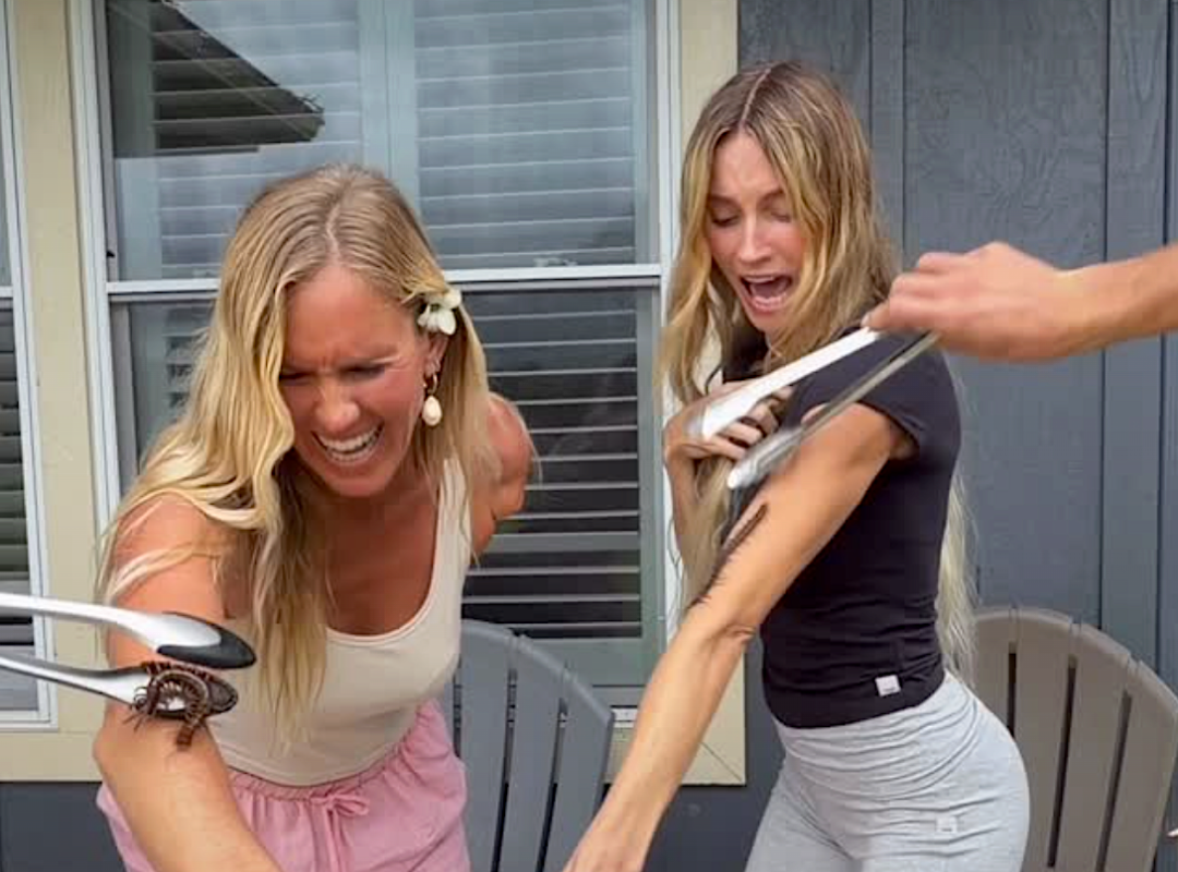 Bethany Hamilton, Alana Blanchard play with poisonous centipedes (video)