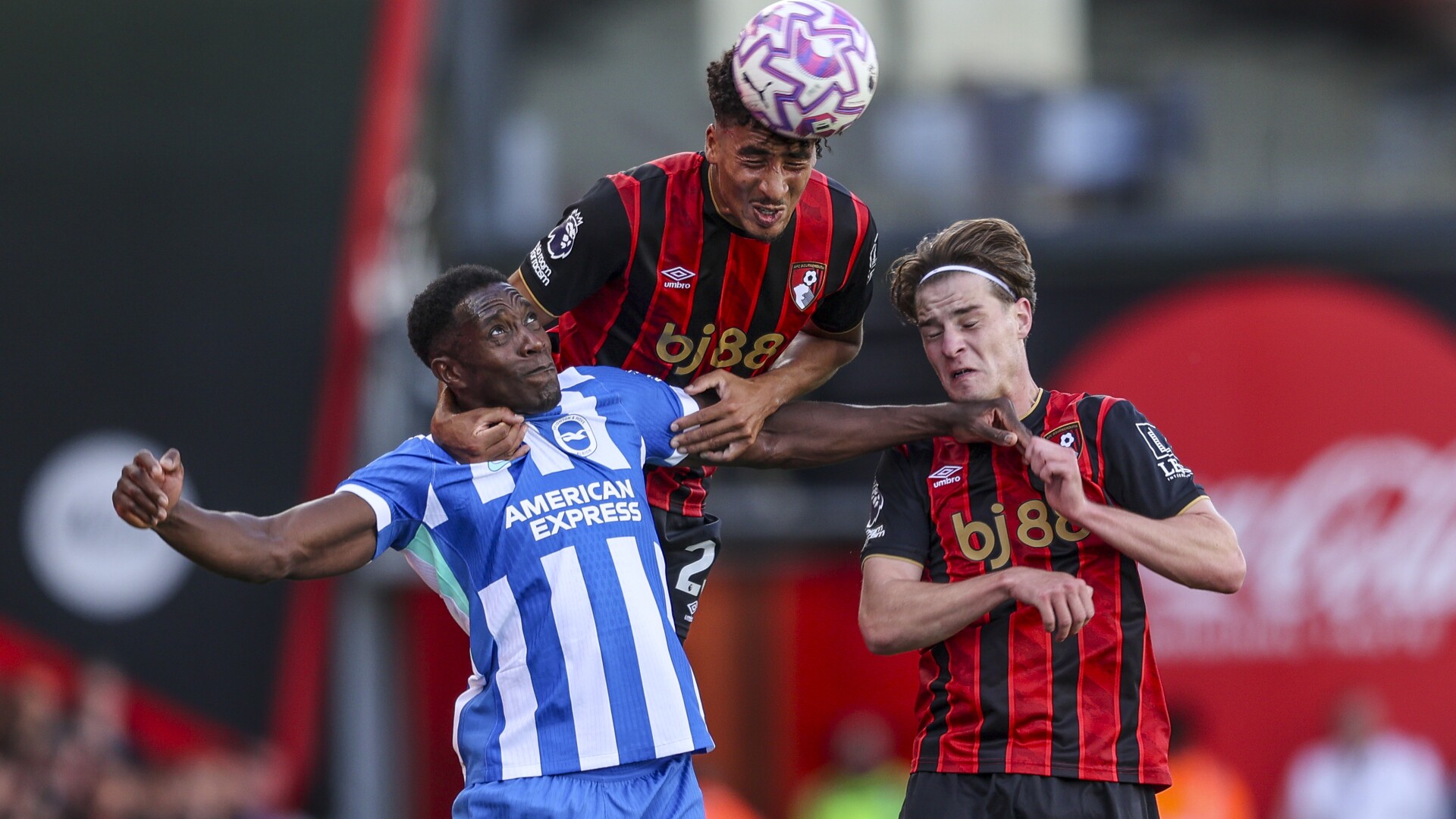 How to watch Brighton vs Bournemouth live: Stream, TV channel, team ...