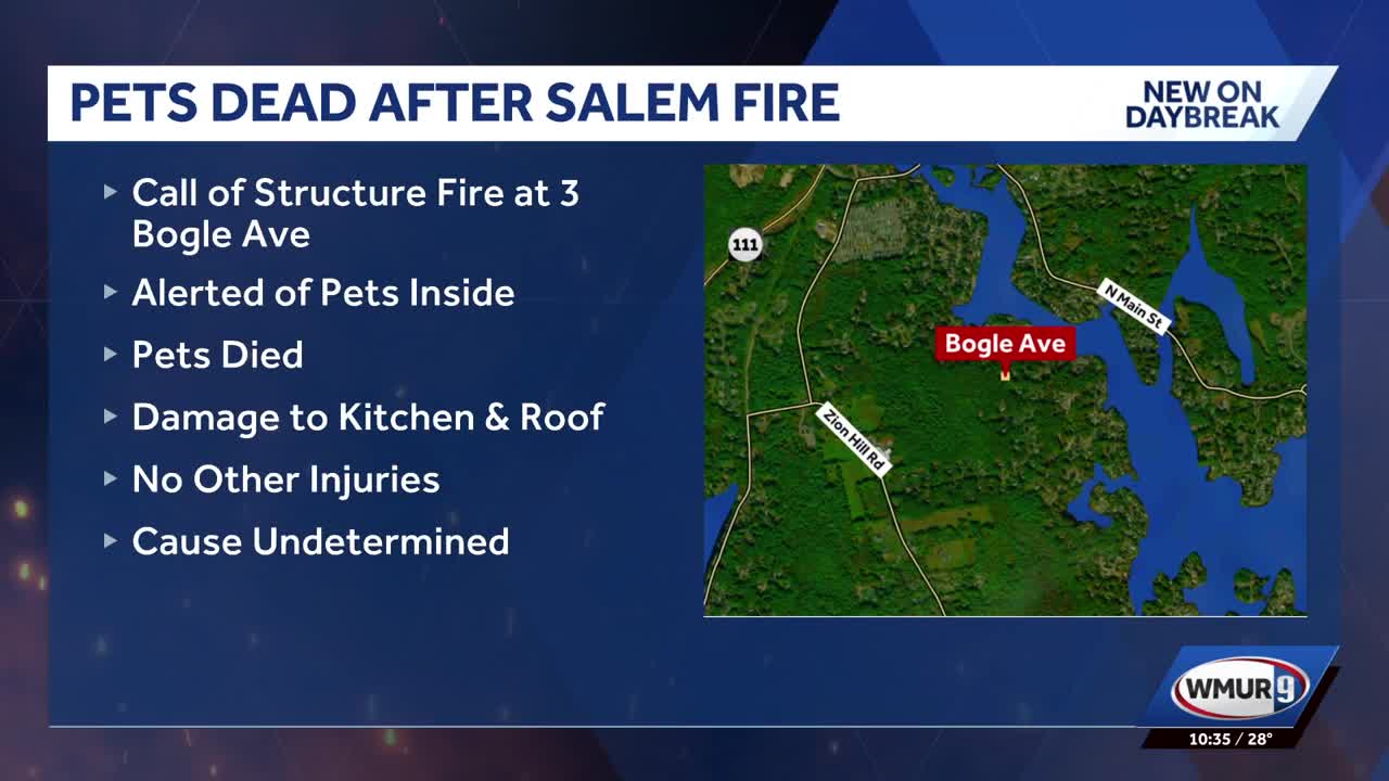 Pets dead after home fire in Salem, officials say