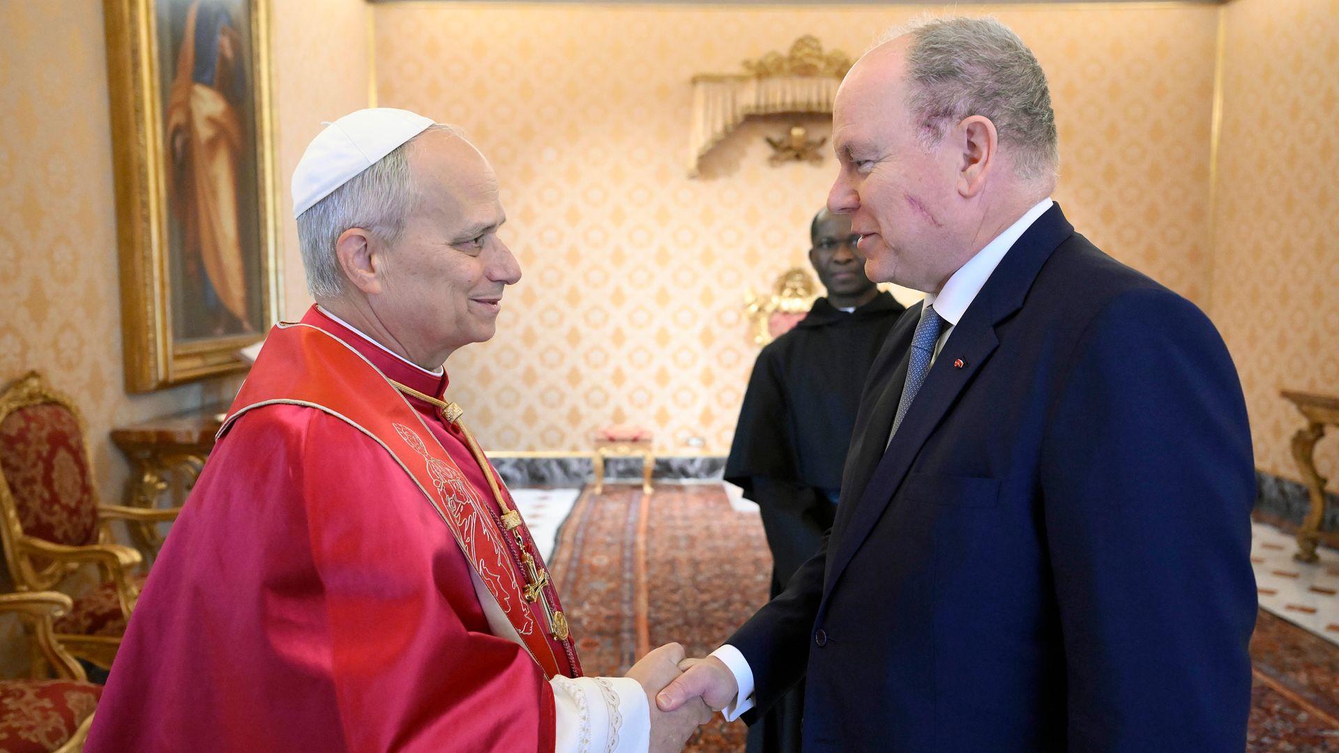 Prince Albert sports facial scar as he makes first appearance since ...