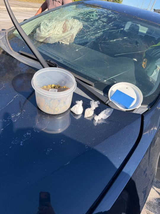 ‘Going back to jail for a long time’: Tampa man arrested on drug ...