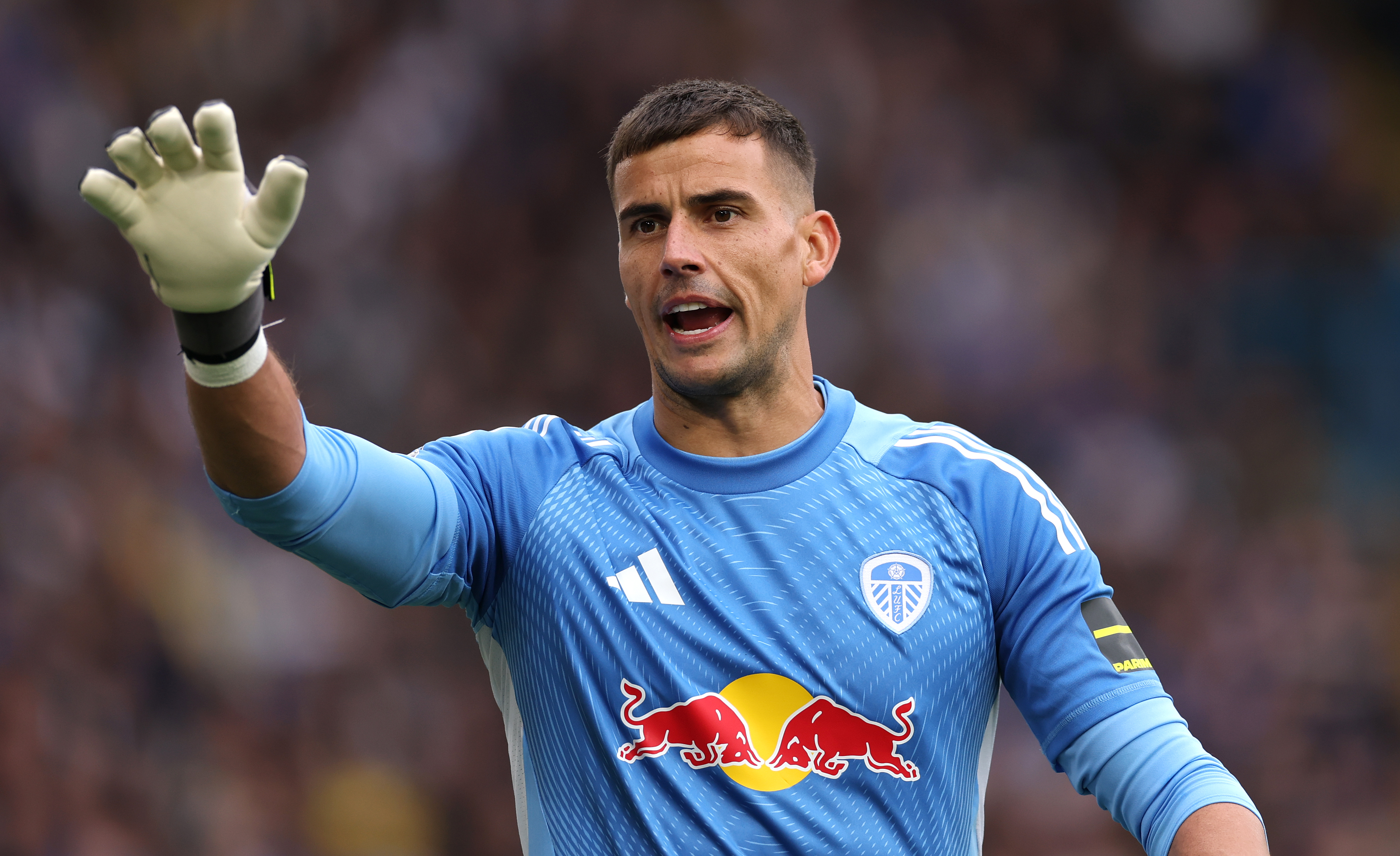 Graham Smyth's Leeds United player ratings vs Fulham with 'joy to watch ...